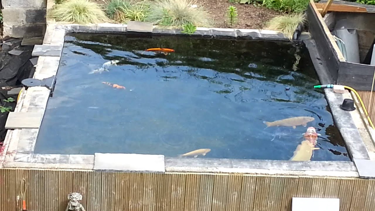 Pond view from upstairs window - YouTube