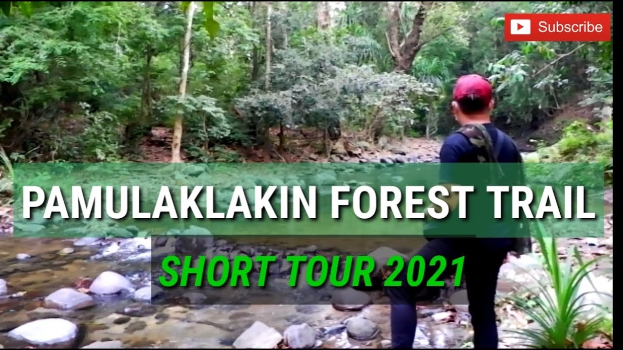 Pamulaklakin Forest Trail Subic bay || Short tour 2021 - YouTube