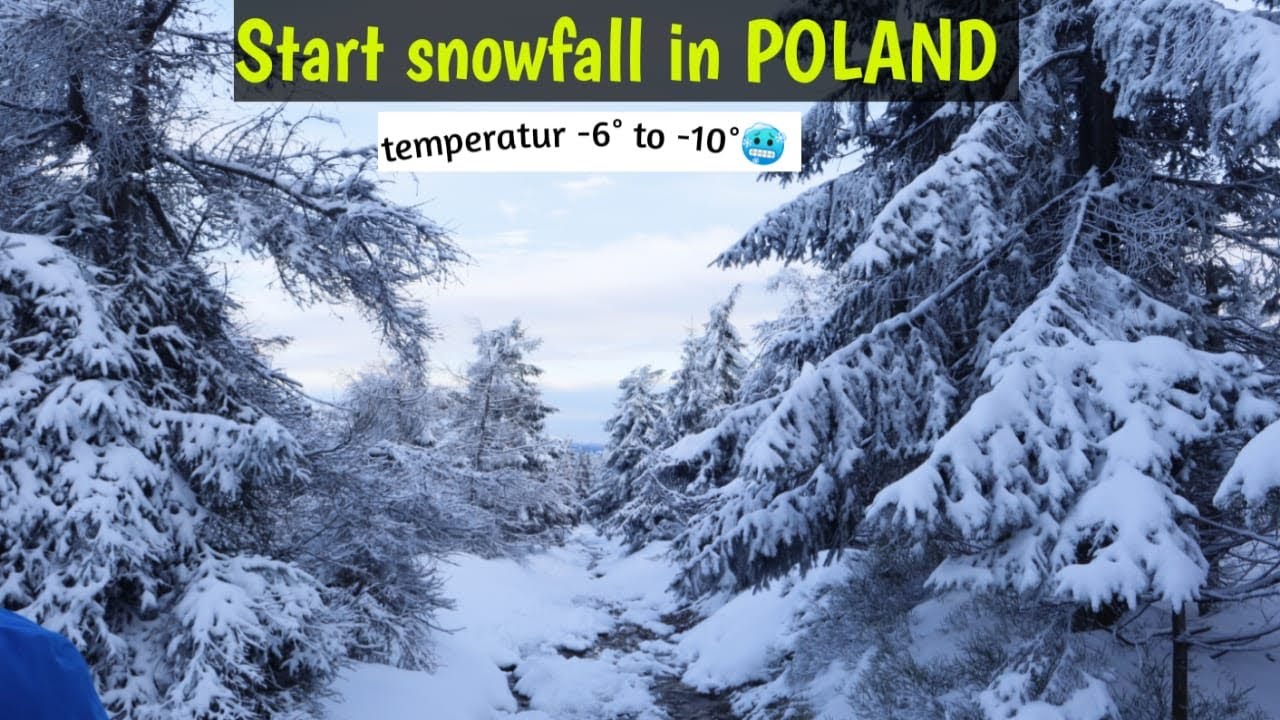 Start snowfall in POLAND 🇵🇱-6°! #indianinpoland #poland #snowfall # ...