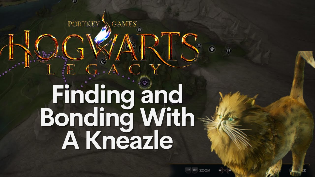 Where To Find a Kneazle In Hogwarts Legacy - YouTube