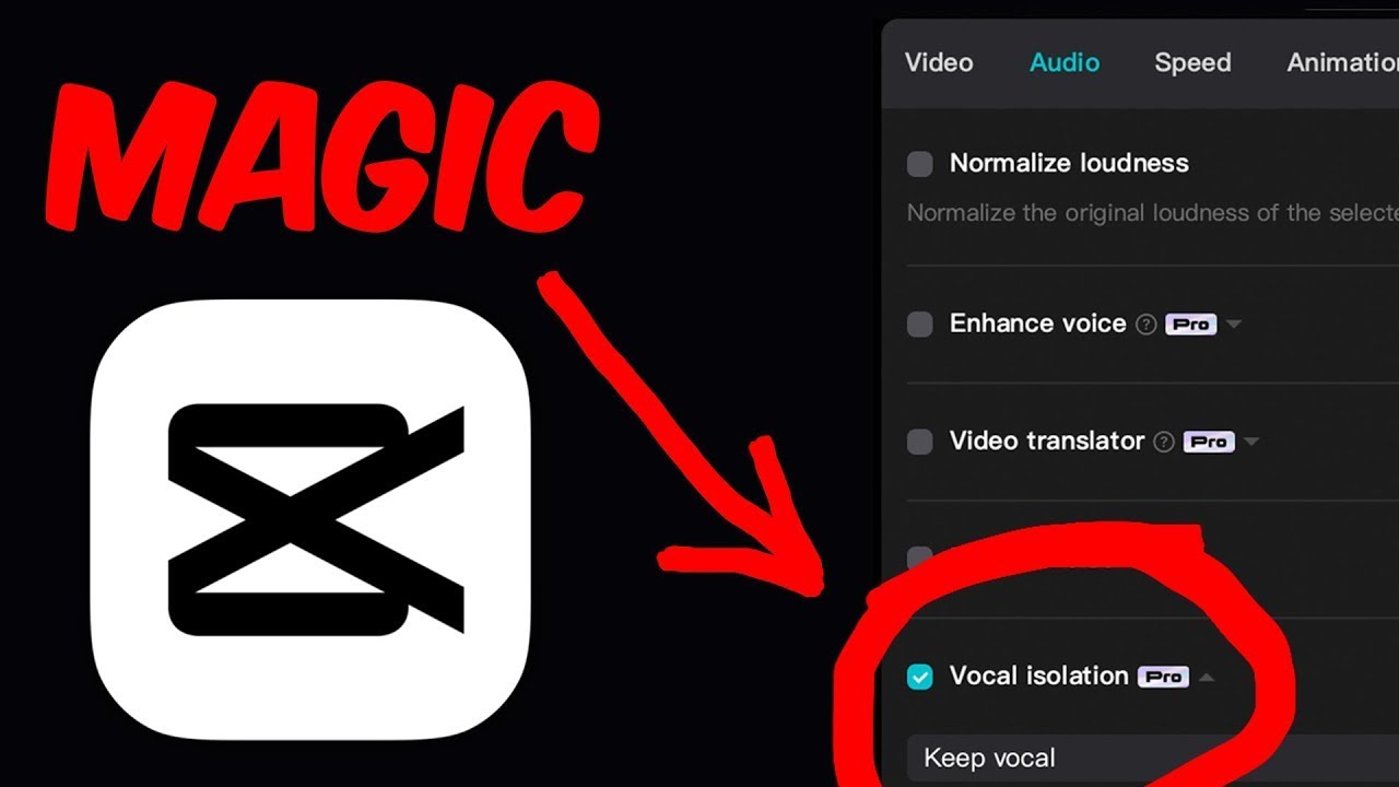 CapCut Pro Audio Hacks For PERFECT Sound - YouTube