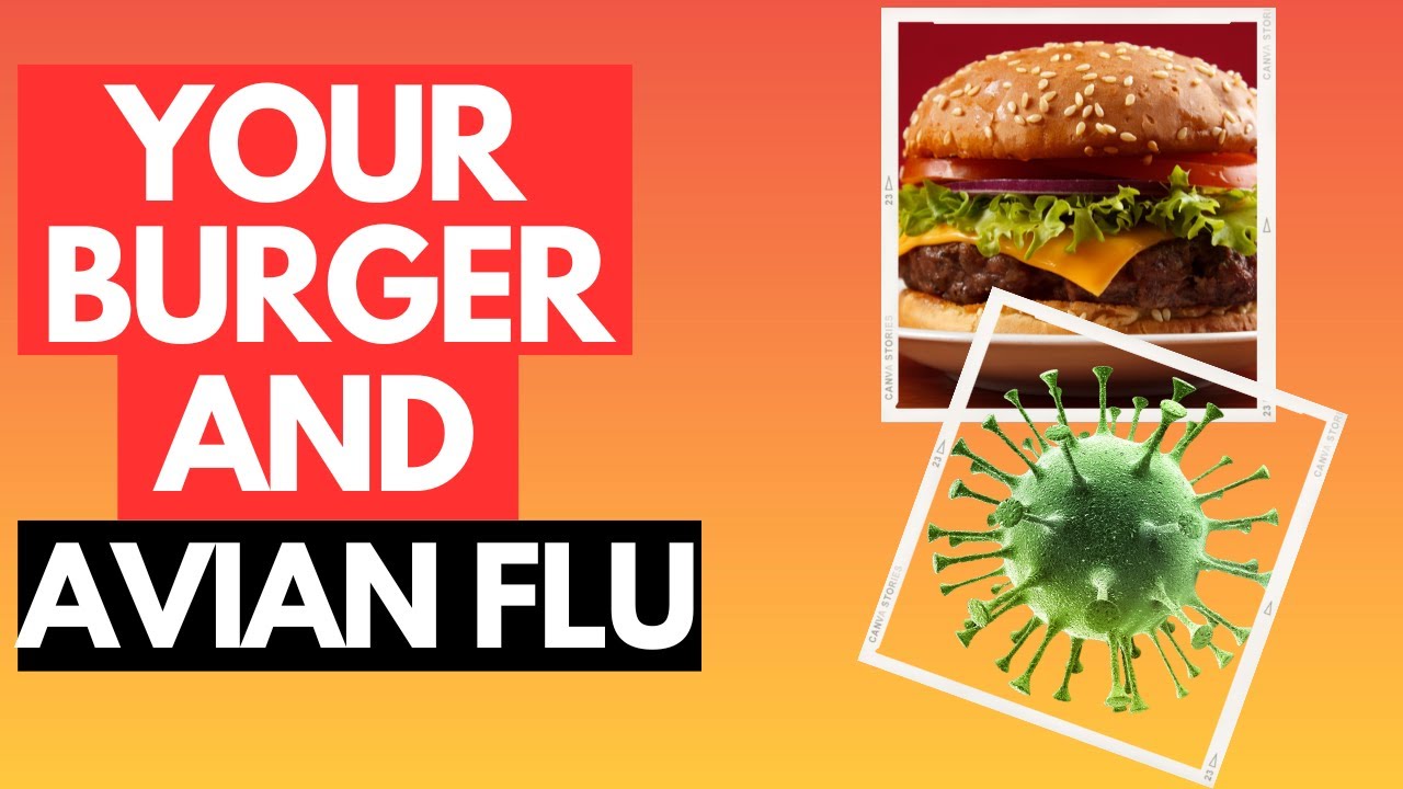 Bird Flu (H5N1) In Ground Beef And store milk | USDA Tests - YouTube