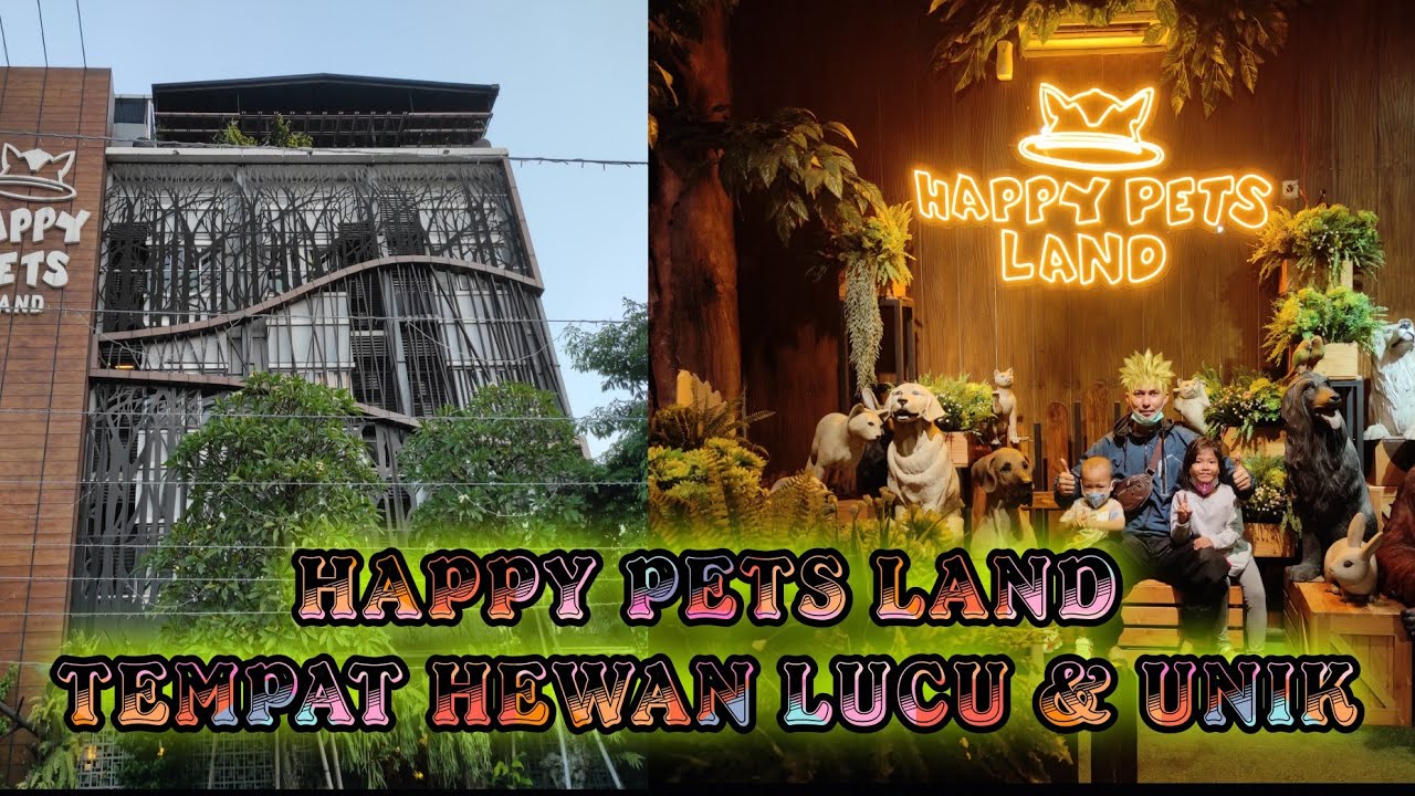 Happy pets land Jakbar, hewan lucu unik lt. 1 - YouTube
