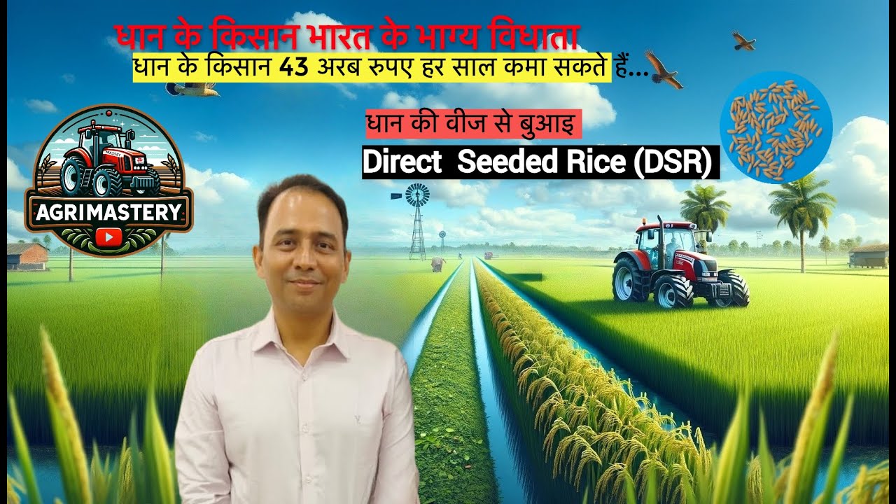 भारत के धान किसान DSR विधि से कमाएं ₹43 अरब । India's Paddy Farmers ...