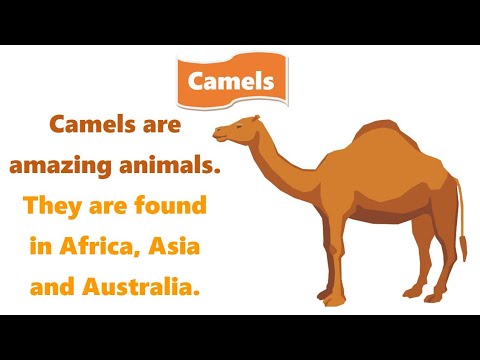 برجراف عن الجمل - Camels Paragraph - YouTube