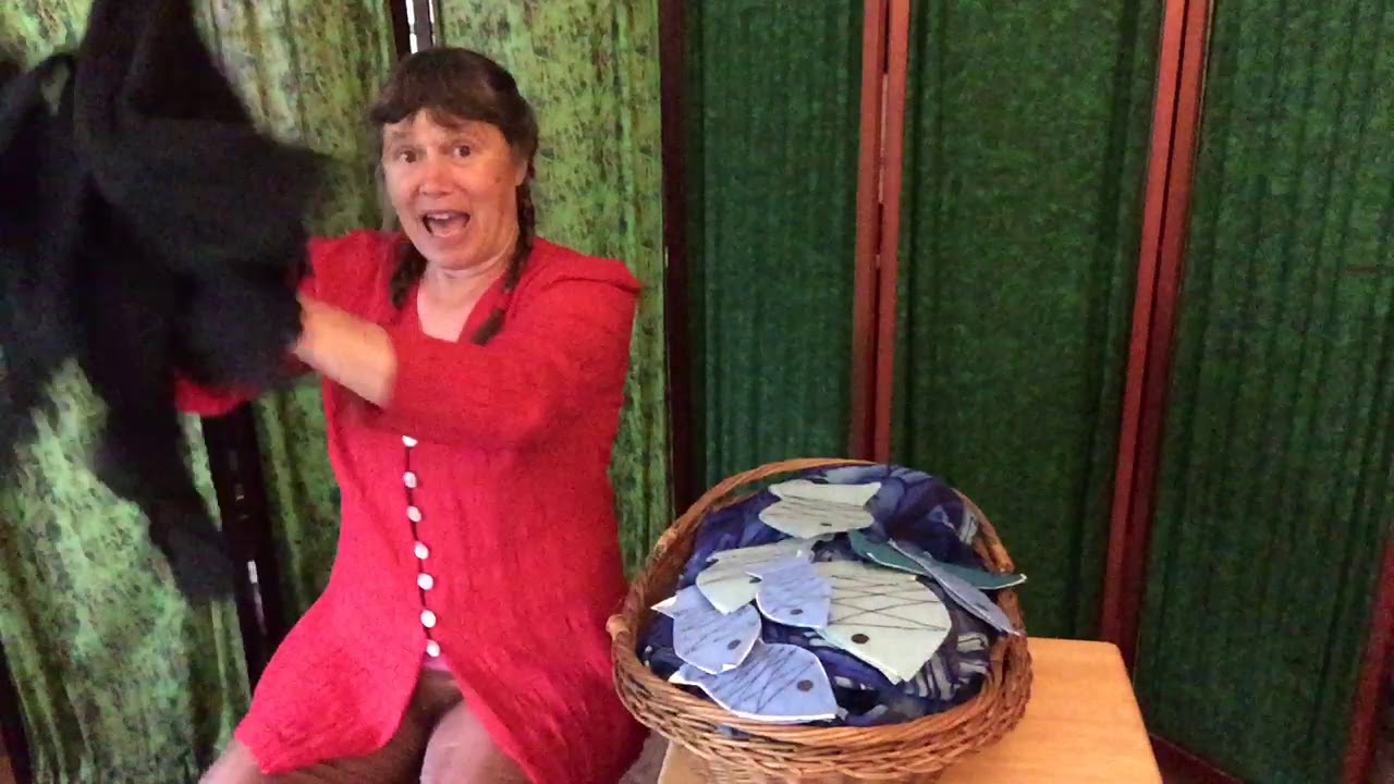 Storytelling of Daisy Comes Home, by Jan Brett - YouTube