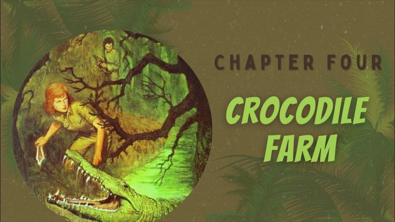 Mystery of Crocodile Island // Chapter 4 // Crocodile Farm - YouTube