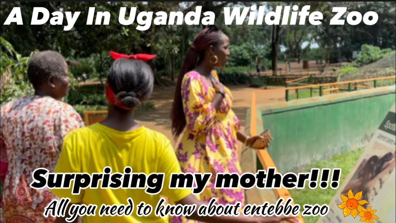 I Surprised My Mother With A Visit To The Entebbe Zoo(Uganda wildlife ...