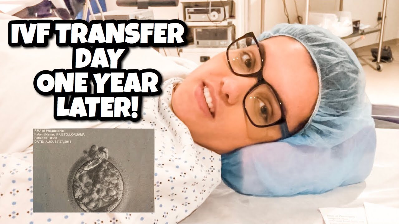 IVF EMBRYO TRANSFER ONE YEAR LATER | ONE EMBRYO SPLIT | IVF JOURNEY ...