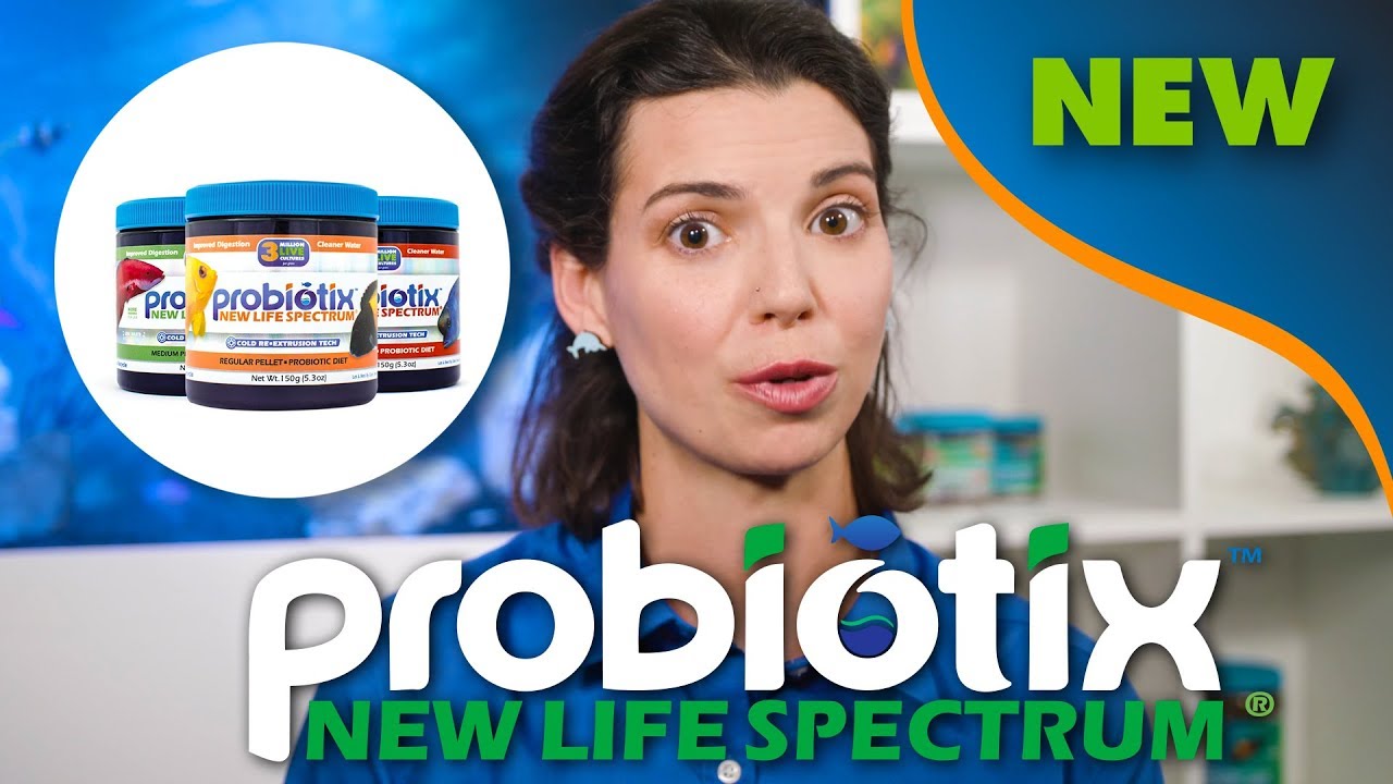 Introducing Probiotix by New Life Spectrum Fish Food! - YouTube