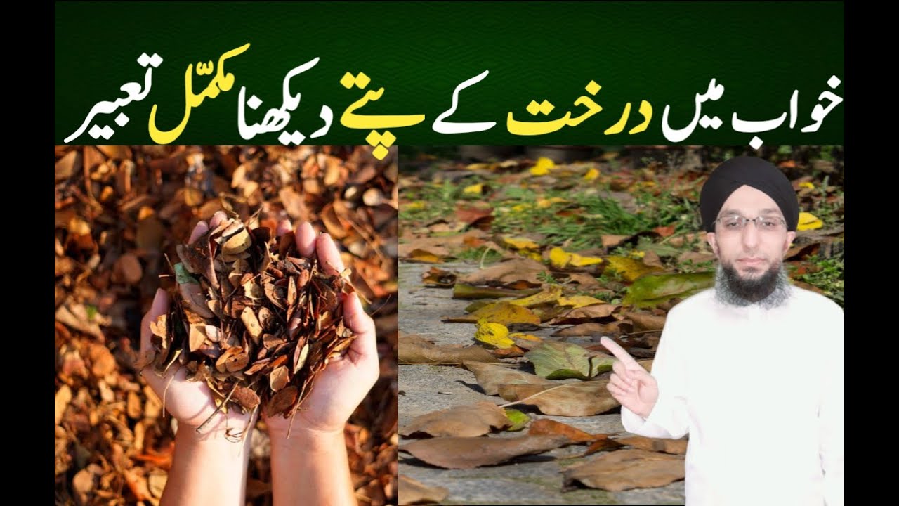 Khwab Mein Darakht Ke Pattay Dekhna | Khwab Mein Darakht Dekhna | Khwab ...