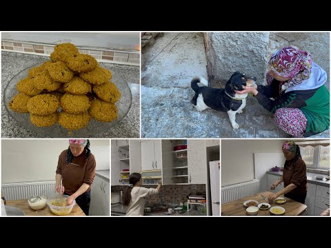 CAN DOSTUMA KAVUŞTUM🥰 ÜZÜMLÜ CEVİZLİ KURABİYE YAPTIM GÜNLÜK VLOG