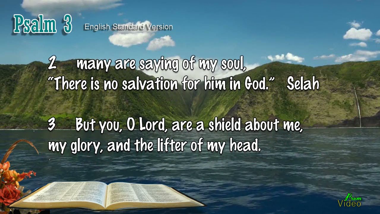 PSALM 3 1 8 ENGLISH STANDARD VERSION THE BOOK OF PSALM PSALM 1 150 psalm-3-1-8-english-standard-version-the-book-of-psalm-psalm-1-150