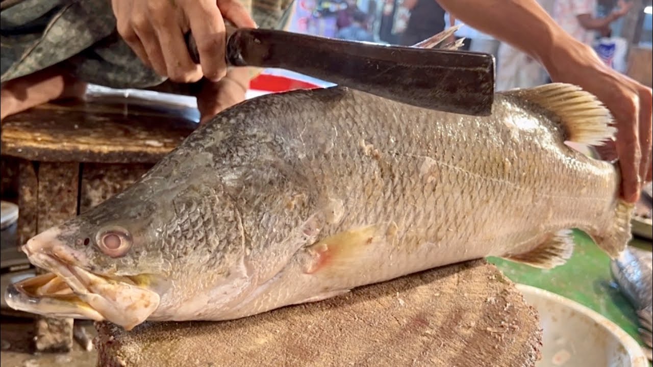 Amazing Cutting Skill | Big Bhetki Fish Cutting By Expert Fish Cutter ...