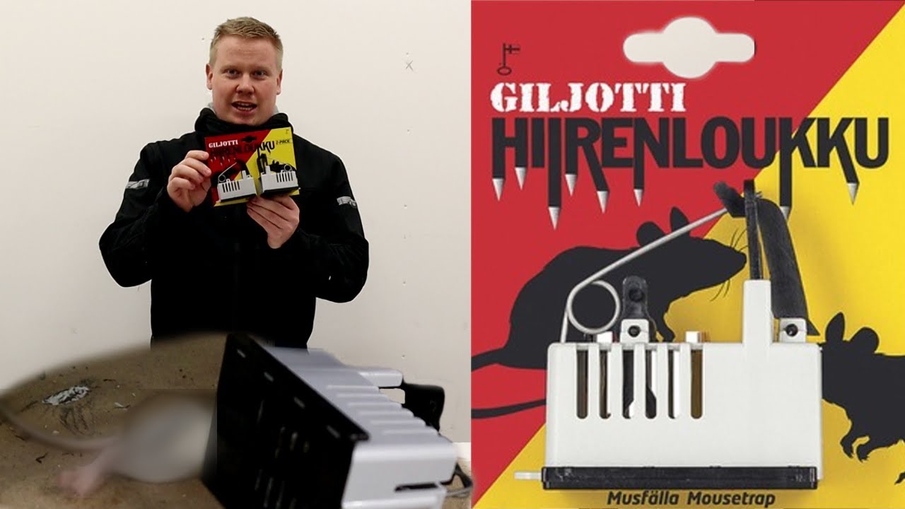 Giljotti Hiirenloukku | Hiirien Torjunta | Pate Testaa - YouTube