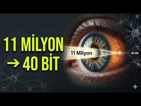 Fizik Gerçeği: 11 Milyon Bit'ten 40 Bit Kalıyor — Beyniniz Nasıl Gerçekliği Siliyor?