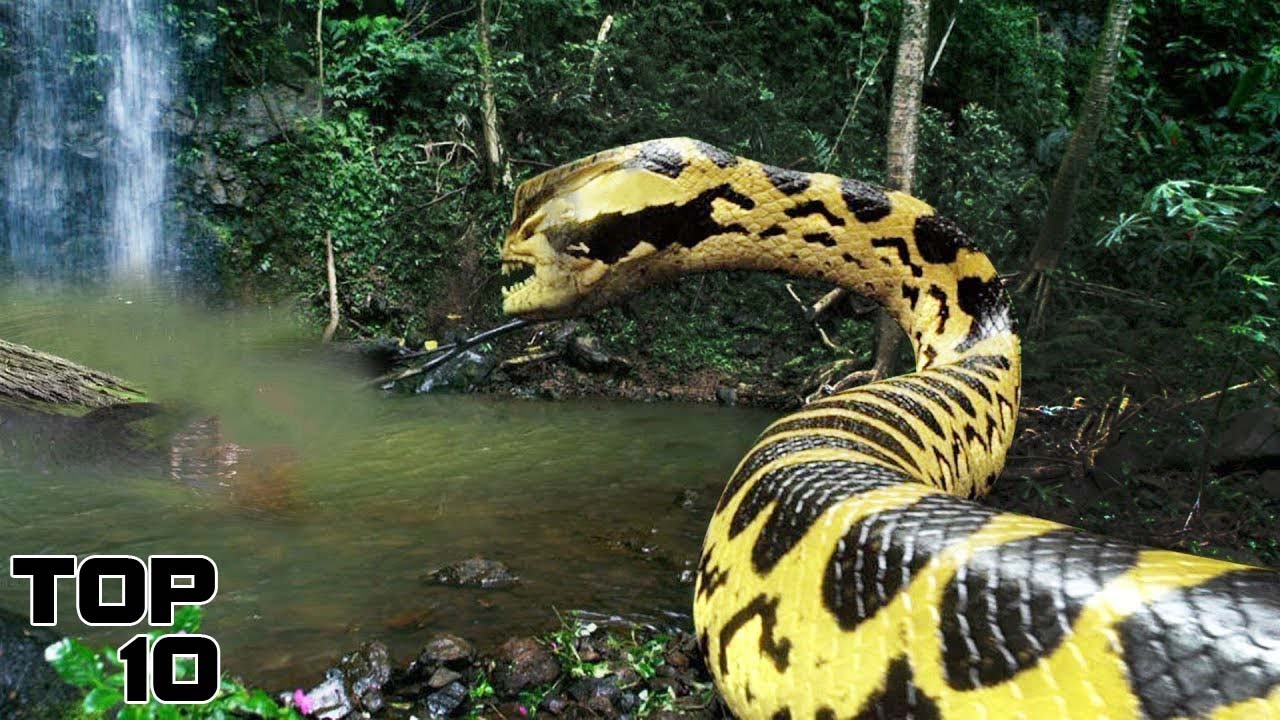 Top 10 Extinct Creatures Scientists Have Warned Us To NEVER Bring Back ...