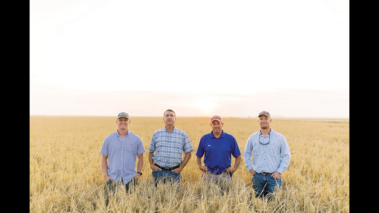 Arkansas family farms rice and soybeans in Mississippi County - YouTube