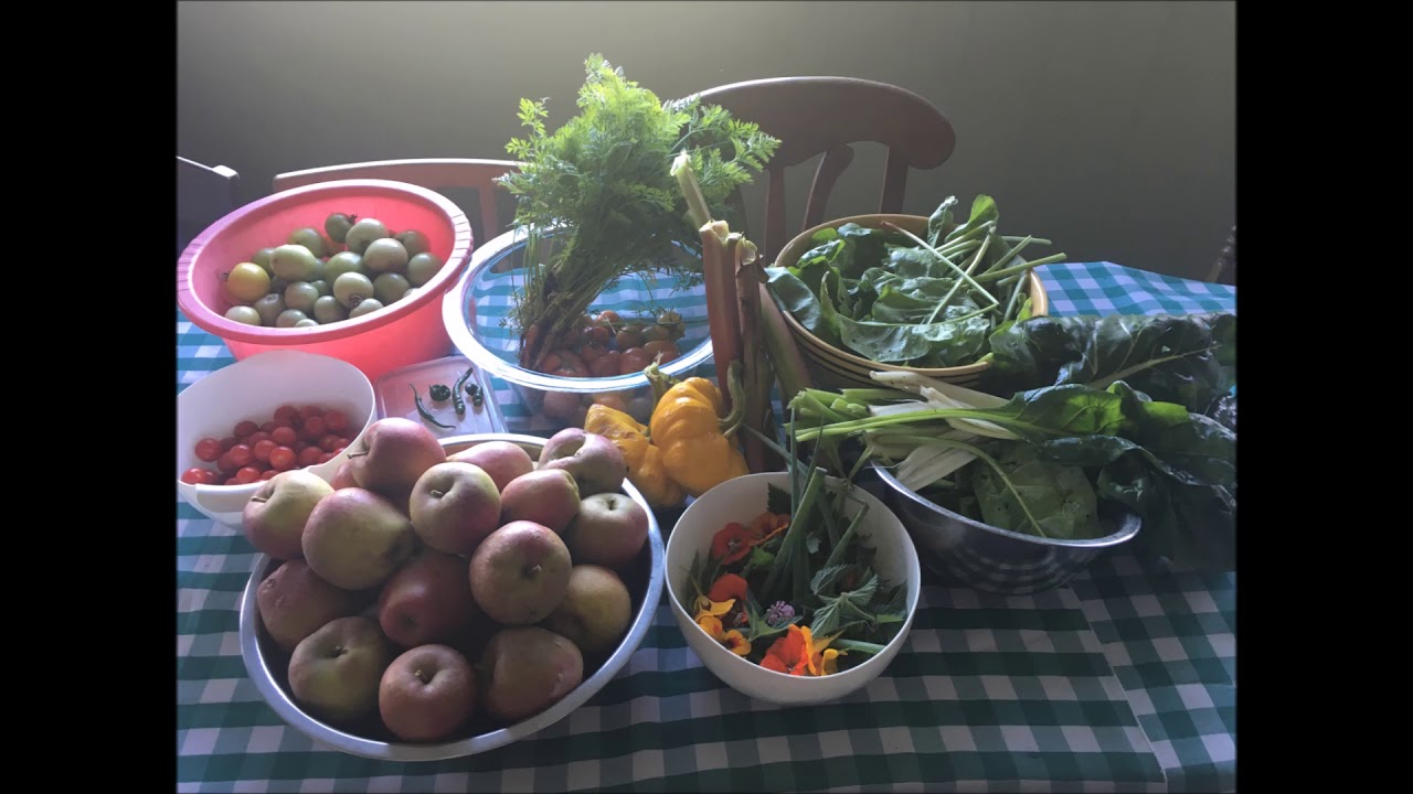 A year in the life of The Inkpot (permaculture demonstration site) 2016 ...