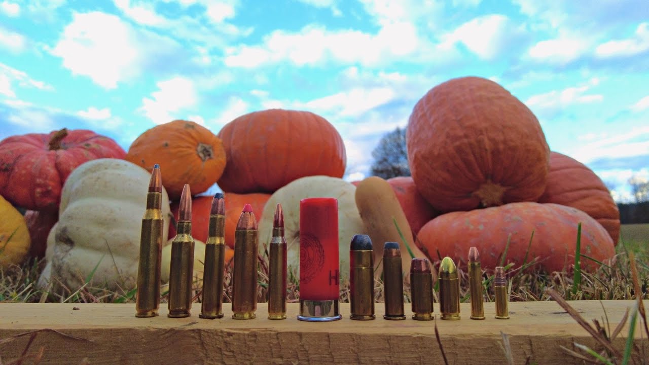 How Many Pumpkins Does it Take to Stop a Bullet? - YouTube