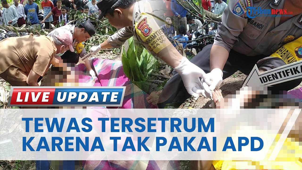 Benahi Kabel Tanpa APD, Petugas Provider Internet di Ponorogo Tewas Tersengat Listrik - YouTube