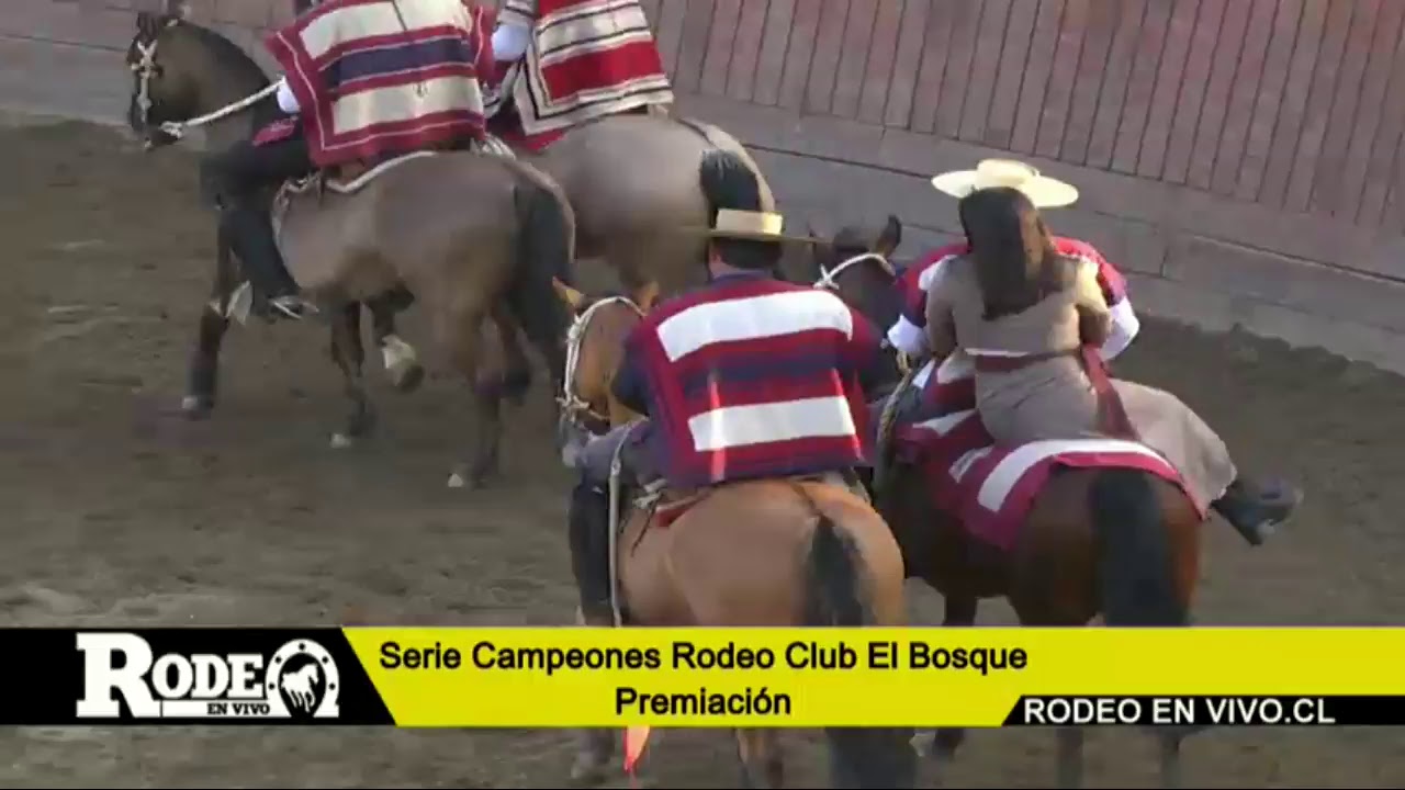 RODEO CLUB EL BOSQUE (Streaming en vivo) - YouTube