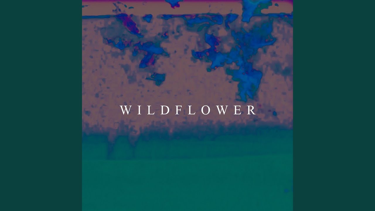Wildflower - YouTube Music