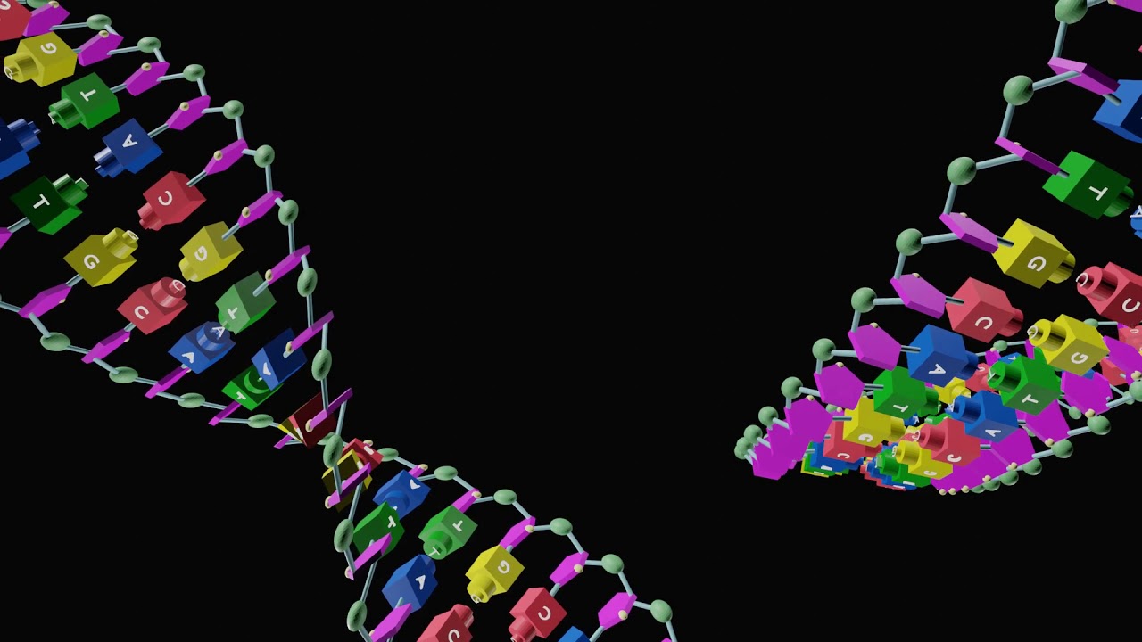 3D DNA Model Animation 1 - YouTube