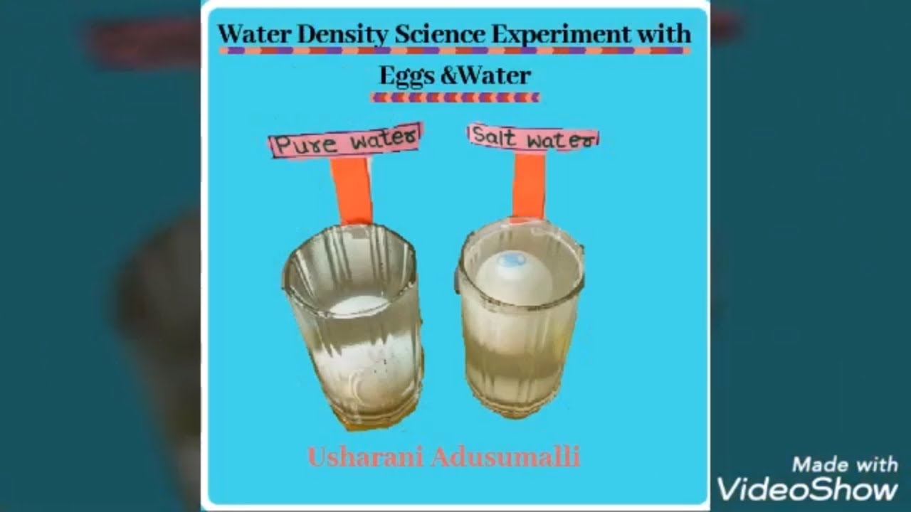 Water Density Science Experiment with Eggs & Salt/Usharani Adusumalli ...