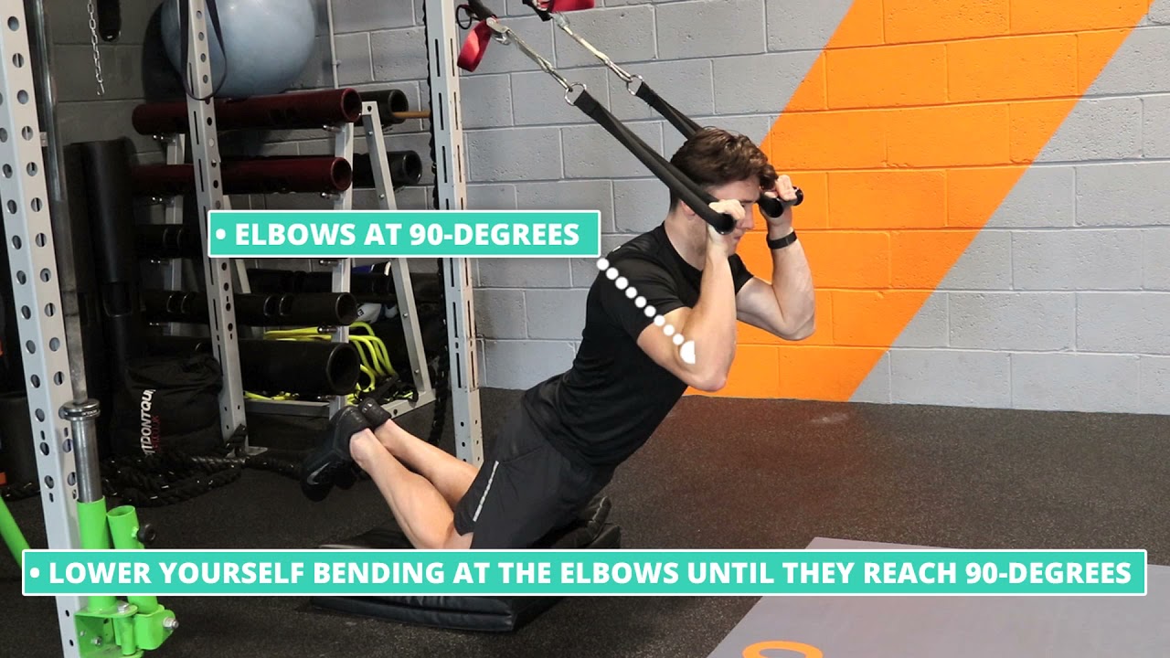 How To Do TRX Kneeling Tricep Press | Exercise Demo - YouTube