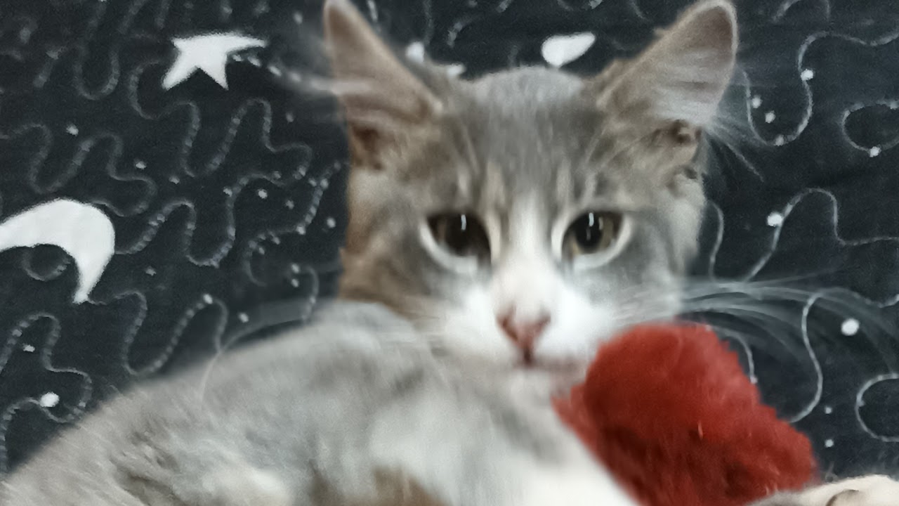 mi primer en vivo - YouTube