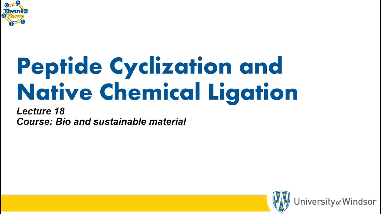 Lecture 18 Peptide cyclization and native chemical ligation - YouTube