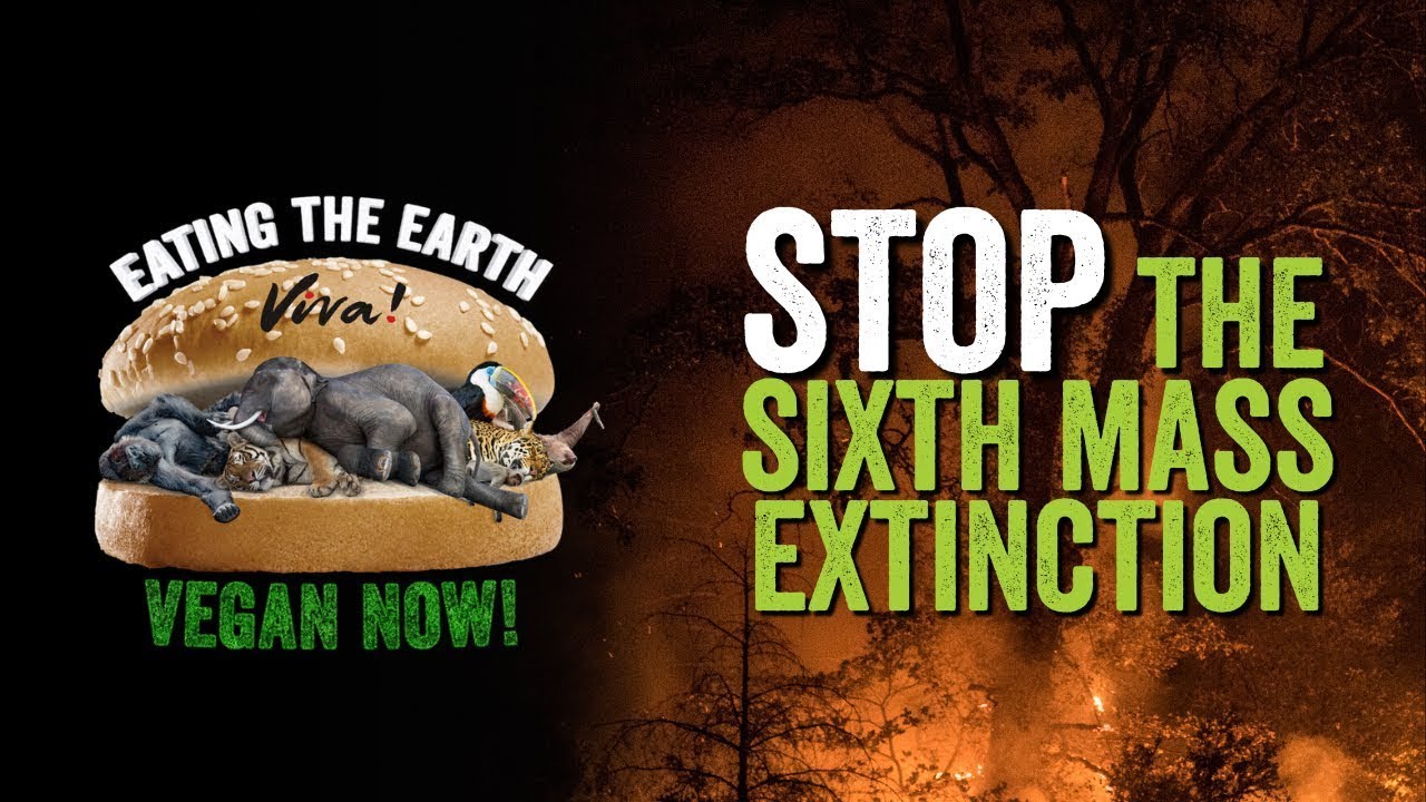 We are EATING THE EARTH - YouTube