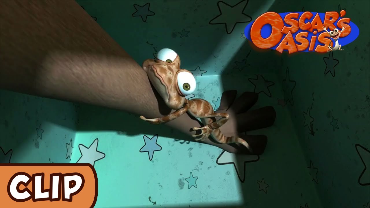 Oscar's Oasis - The Great Escape | HQ | Funny Cartoons - YouTube