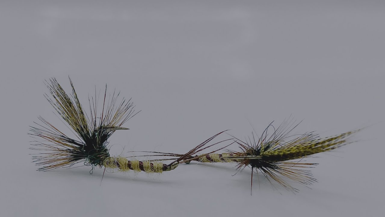 Tying the Avon Special Dry fly with Scott Jackson 2025 - YouTube