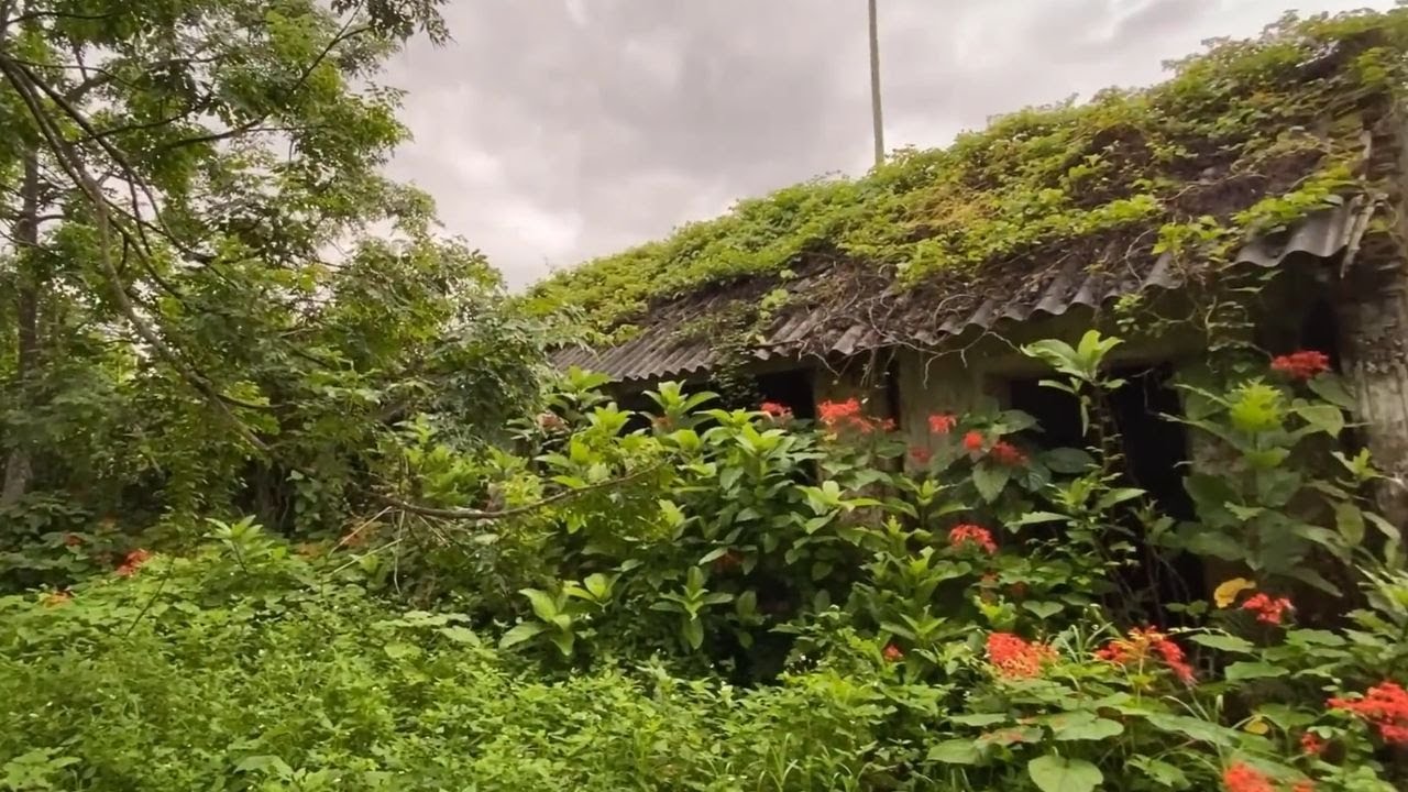 Venomous snake attacks single mother | Top expert reveals secret to ...