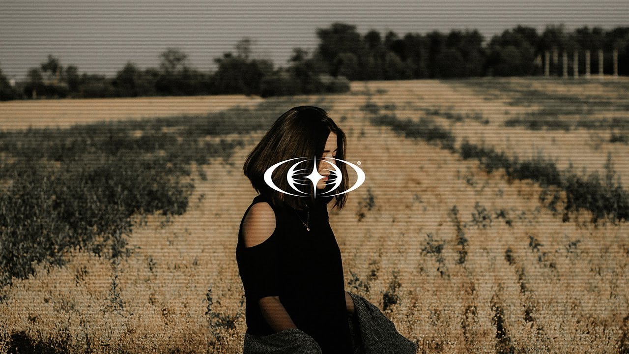 Shark4Sale - Into Your Arms - YouTube