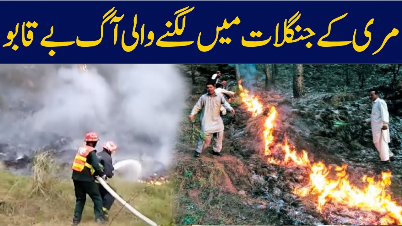 BREAKING NEWS! Massive Fire Erupts In Murree Hills Forest | 2 July 2021 ...
