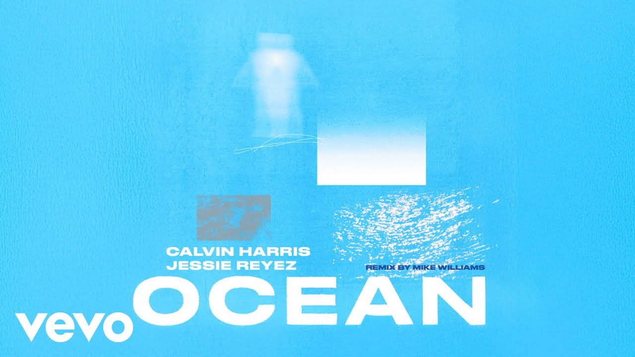 Ocean (Mike Williams Remix - Official Audio)