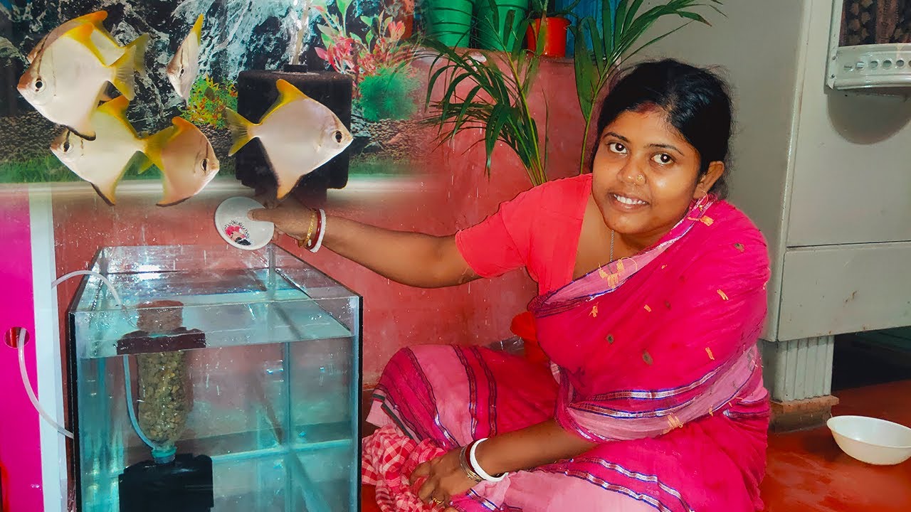 API Water Care 4 For Aquarium😁Visit Fish Shop for Guppy🐠💛 - YouTube