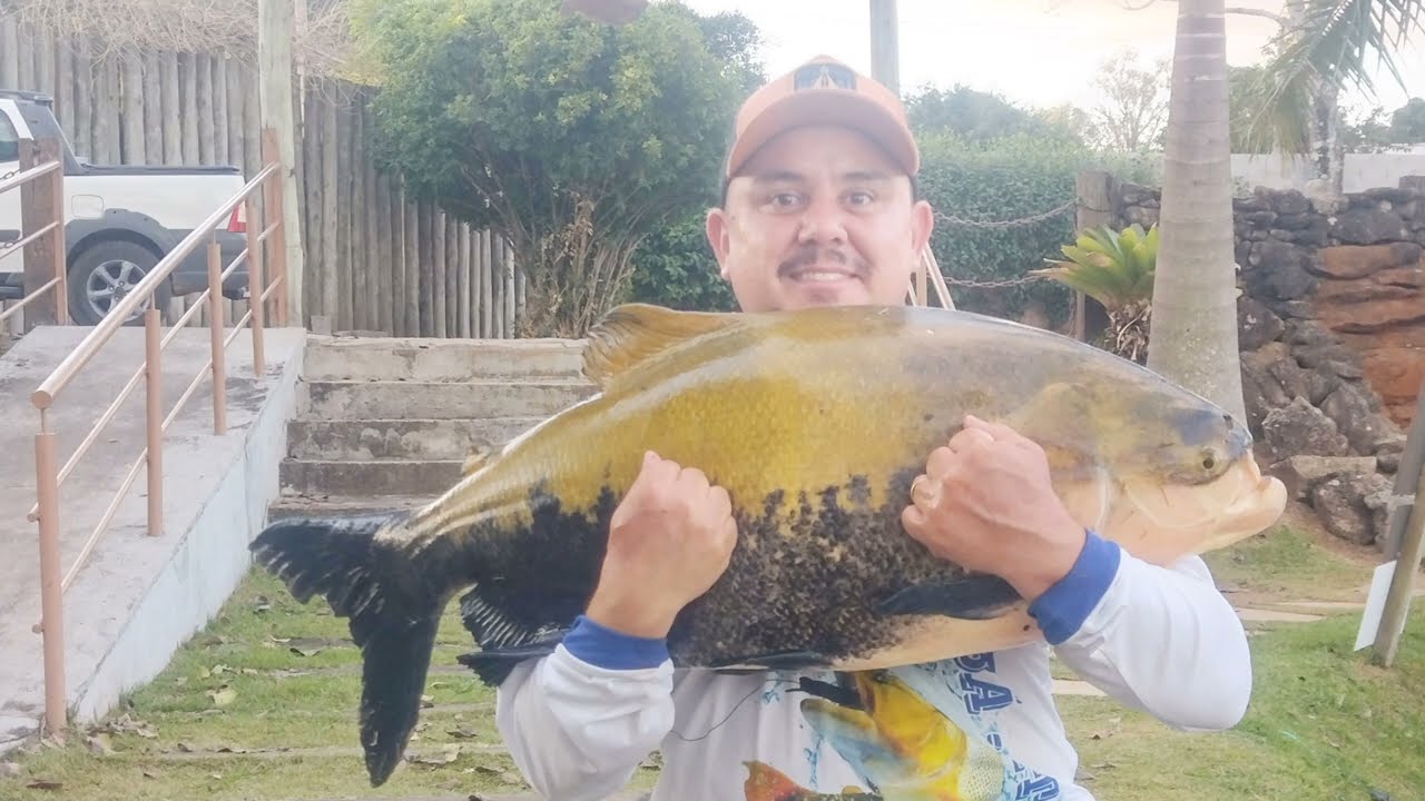 Hulk x Magrelo - YouTube