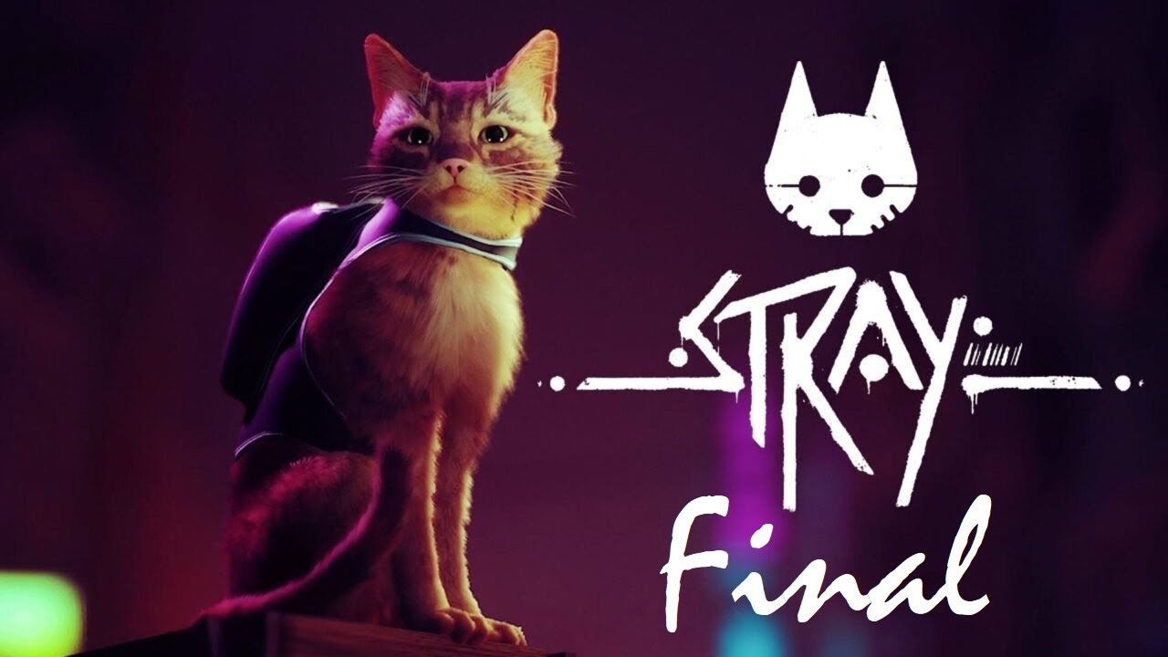 Gameplay Stray Final 🐱 - YouTube