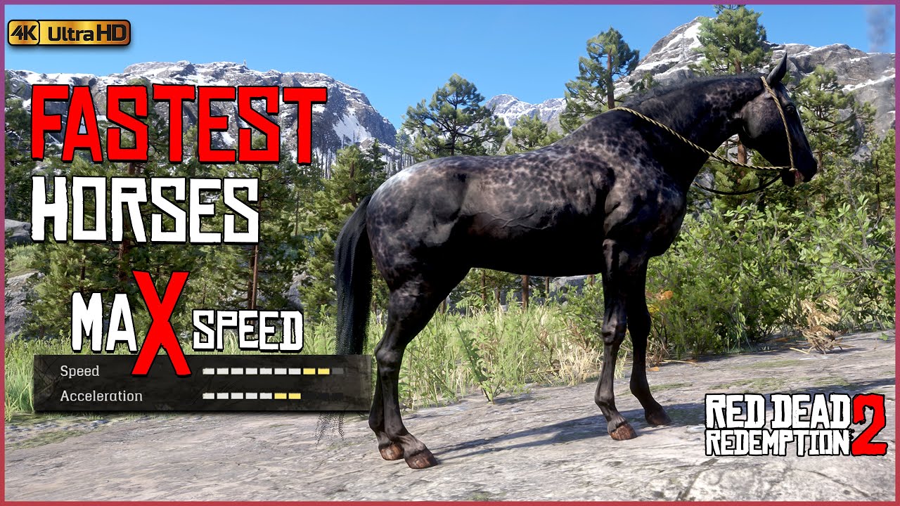 How To Get The Fastest Horses IN Red Dead Redemption 2 - YouTube