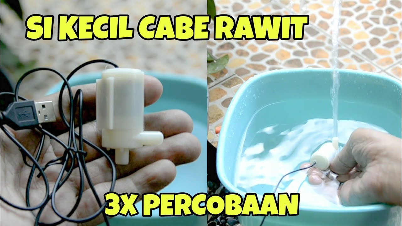 Pompa Air Mini USB Review untuk Aquarium Mini - YouTube