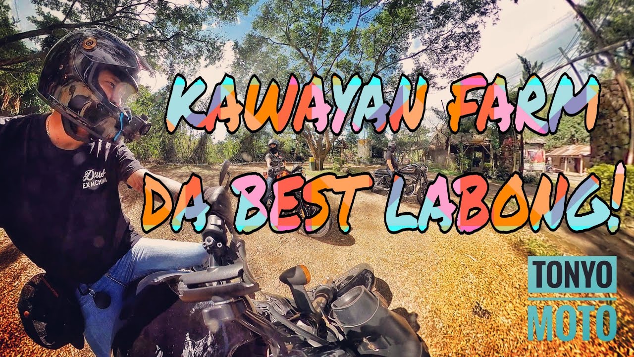 Kawayan Farm HD Ride... The Best Labong in Town! - YouTube