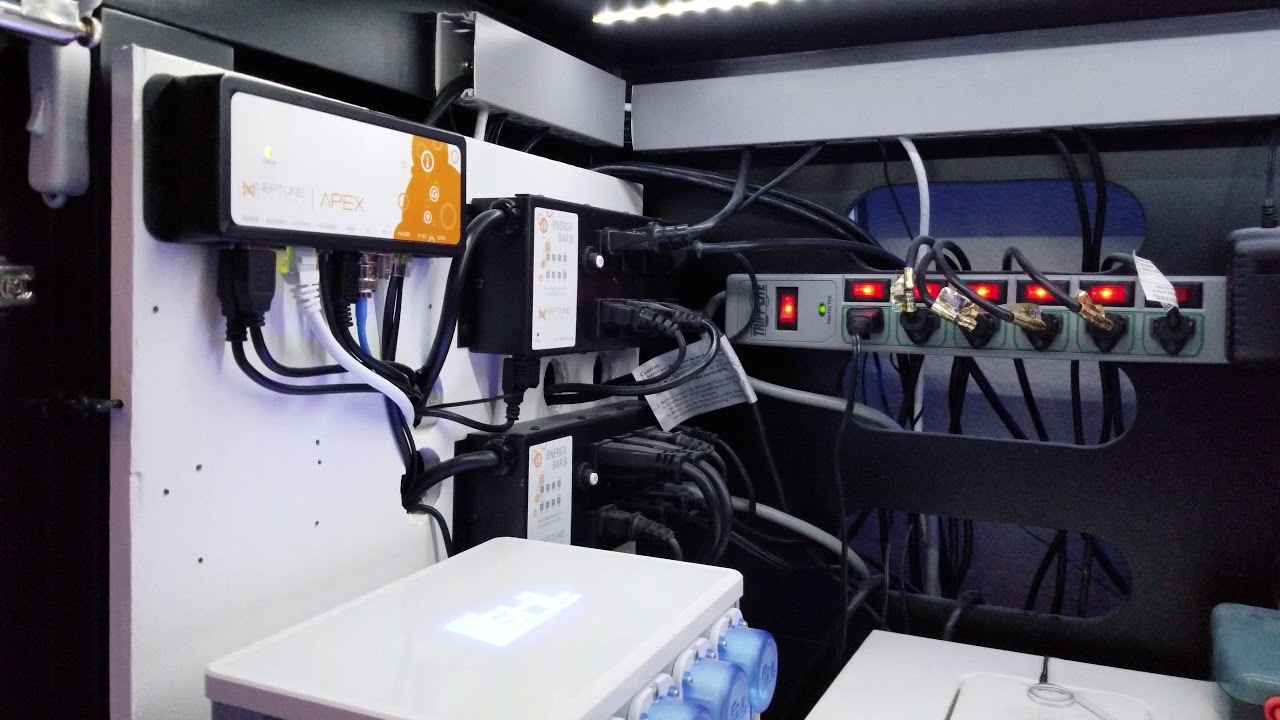 How Neptune Apex control/monitors my tank - YouTube