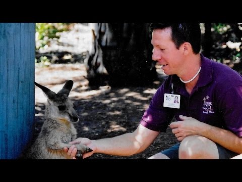 How to Be a Zookeeper - Working with Animals & Youtube - YouTube