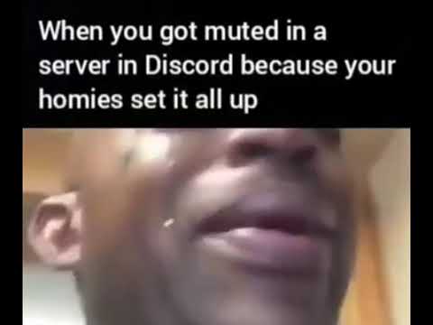 When you got muted in a server in Discord because your homies set it ...