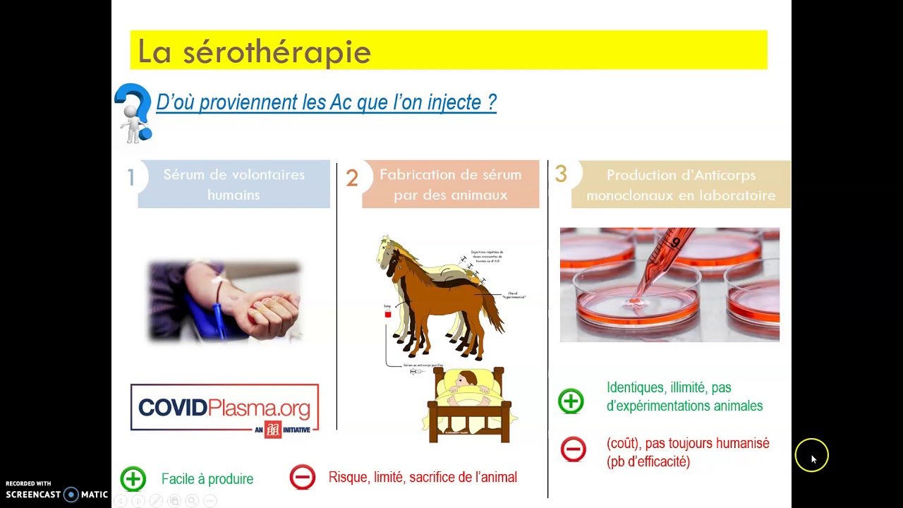 CBSV_ La sérothérapie - Partie 2 - YouTube