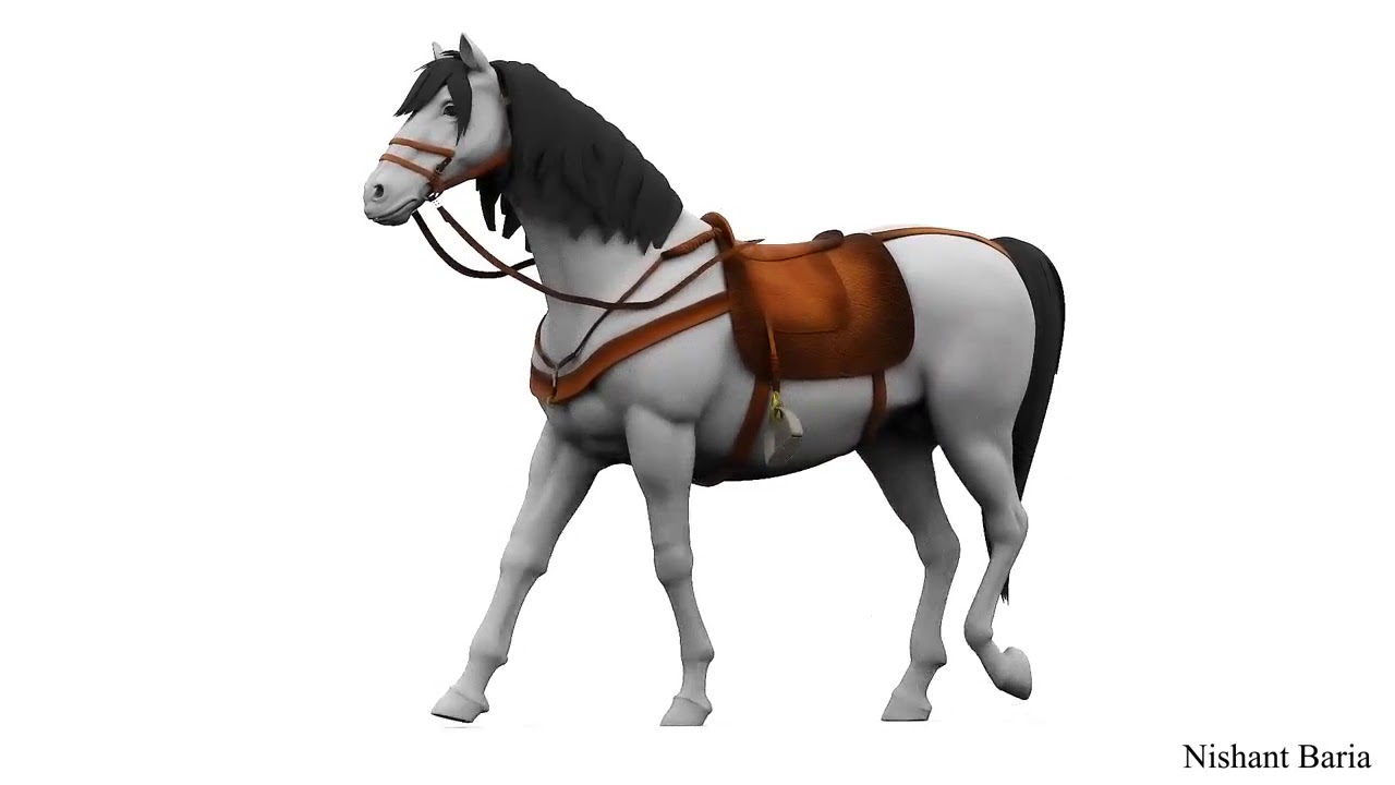 horse walk cycle | 3d horse walk cycle | animated horse walk | horse ...